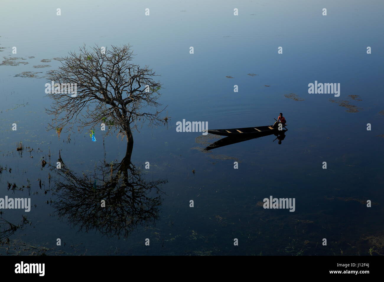 Tanguar haor, located in the Dharmapasha and Tahirpur upazilas of ...