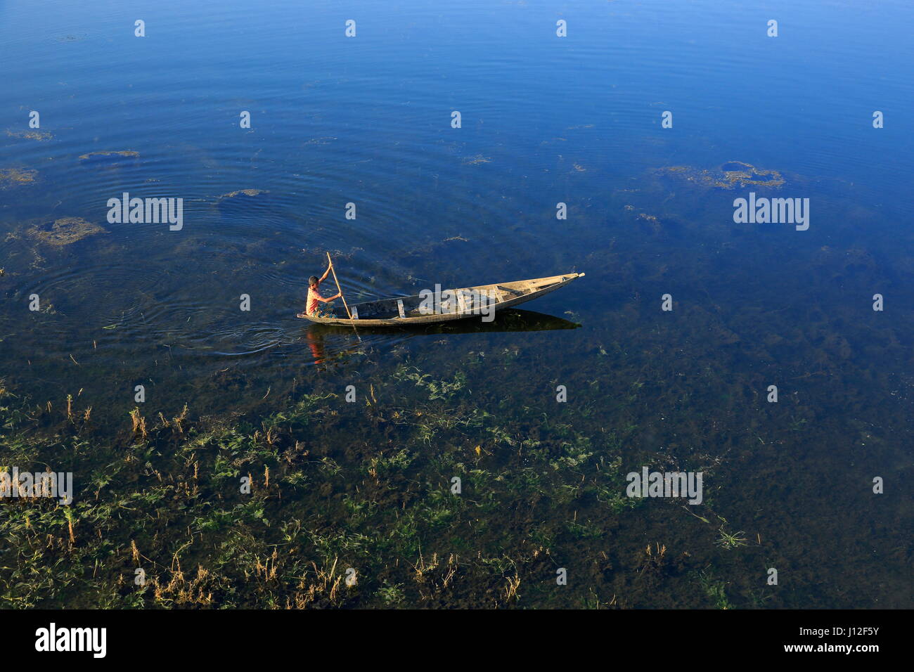 Tanguar haor, located in the Dharmapasha and Tahirpur upazilas of ...