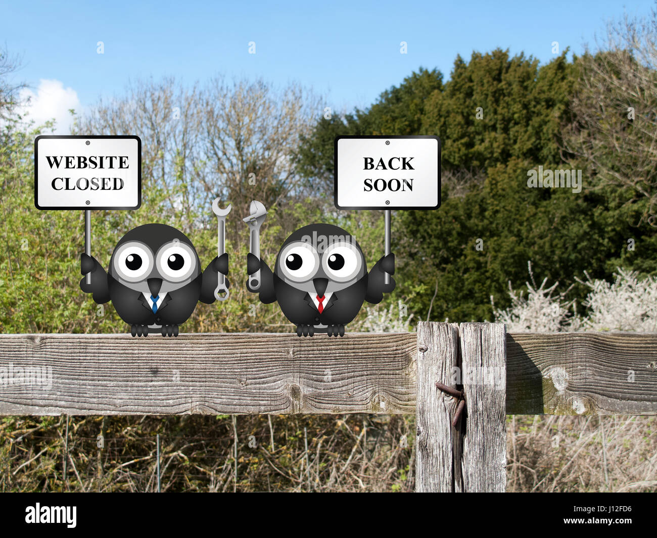 Comical website closed due to maintenance back soon message with bird ...