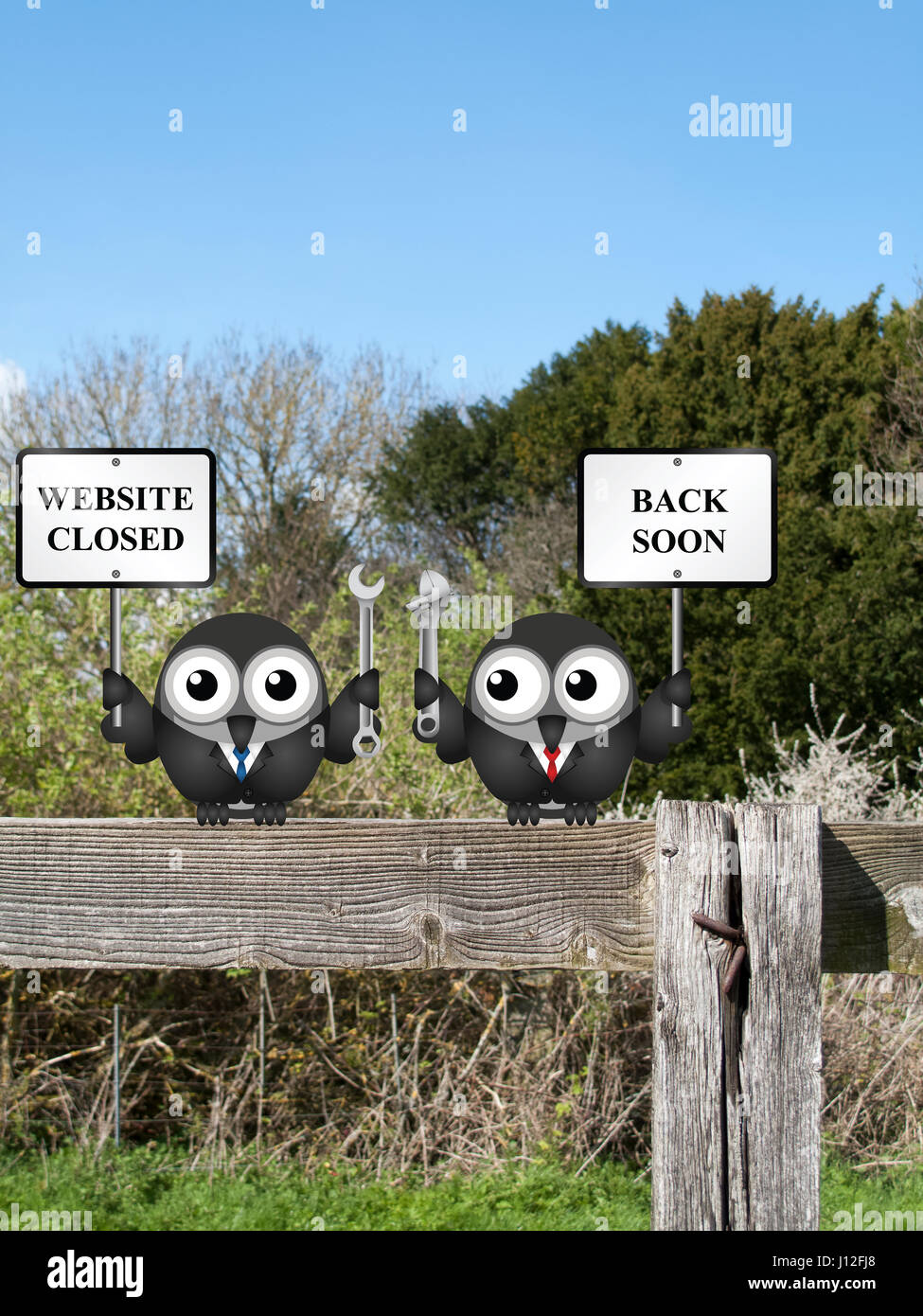 Comical website closed due to maintenance back soon message with bird ...