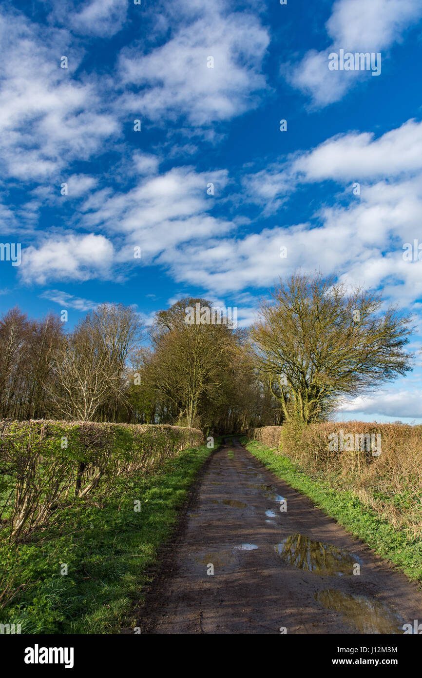 Cotswolds in spring hi-res stock photography and images - Alamy