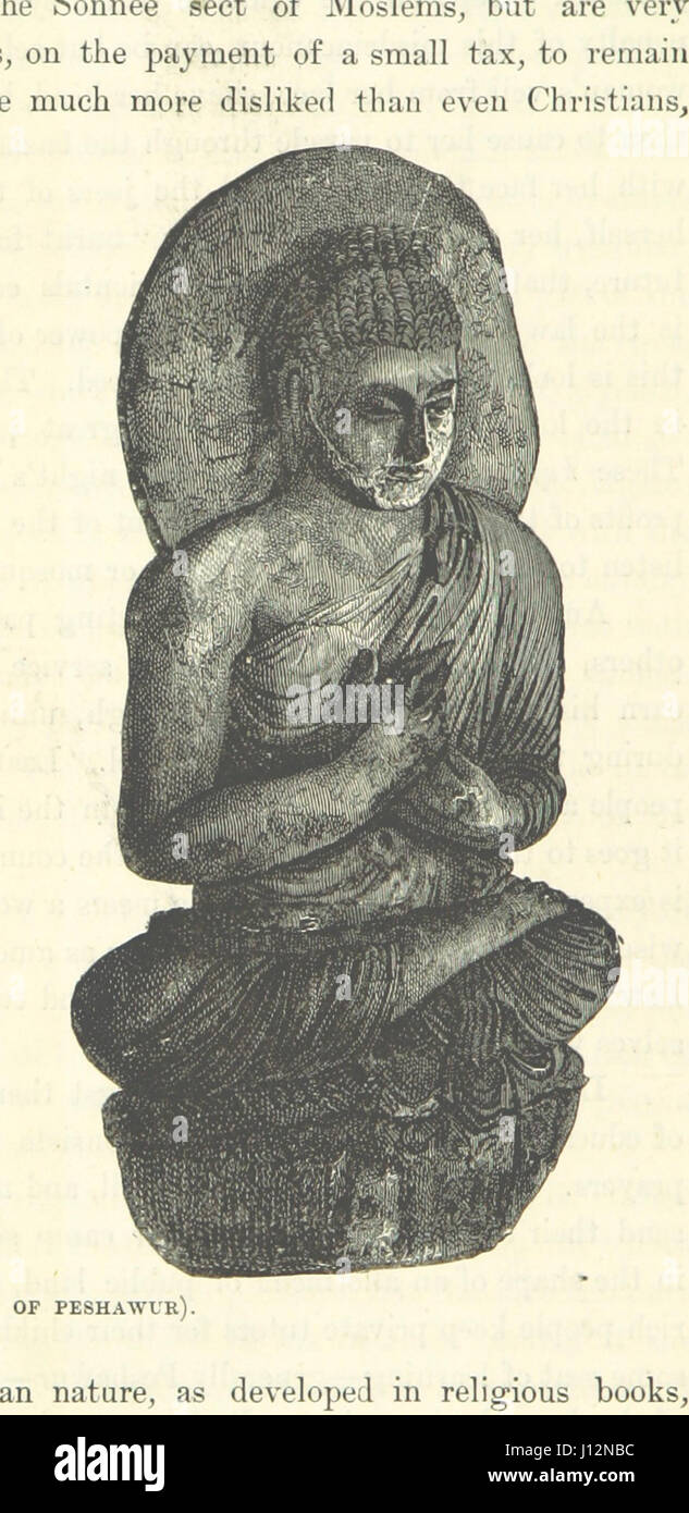 Principal varieties of mankind hi-res stock photography and images - Alamy