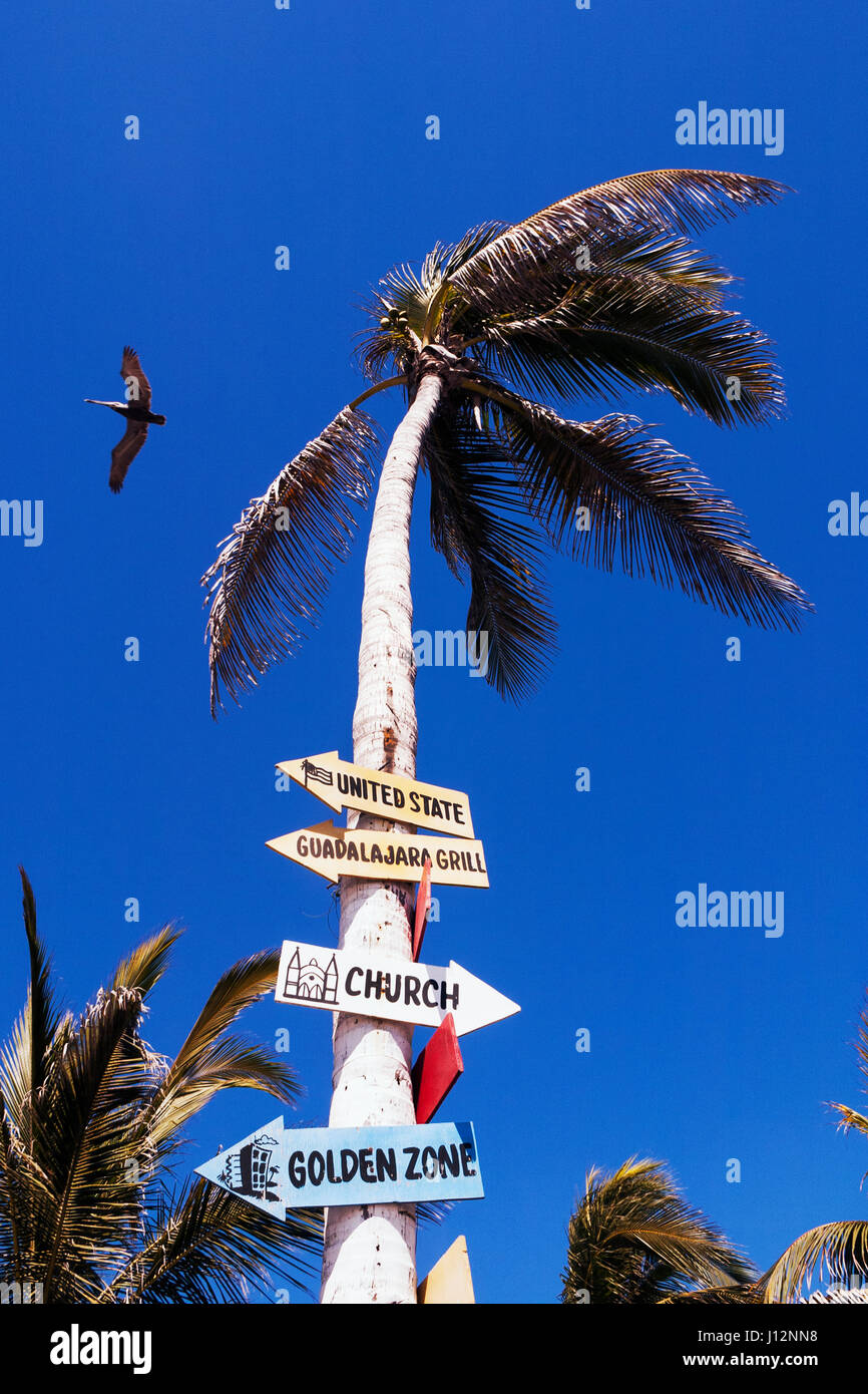 Directional signs on tree. Mazatlan Sinaloa Mexico Stock Photo - Alamy