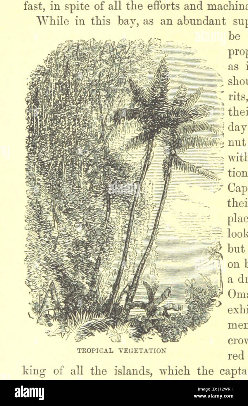 Captain Cook: his life, voyages, and discoveries. [With illustrations ...