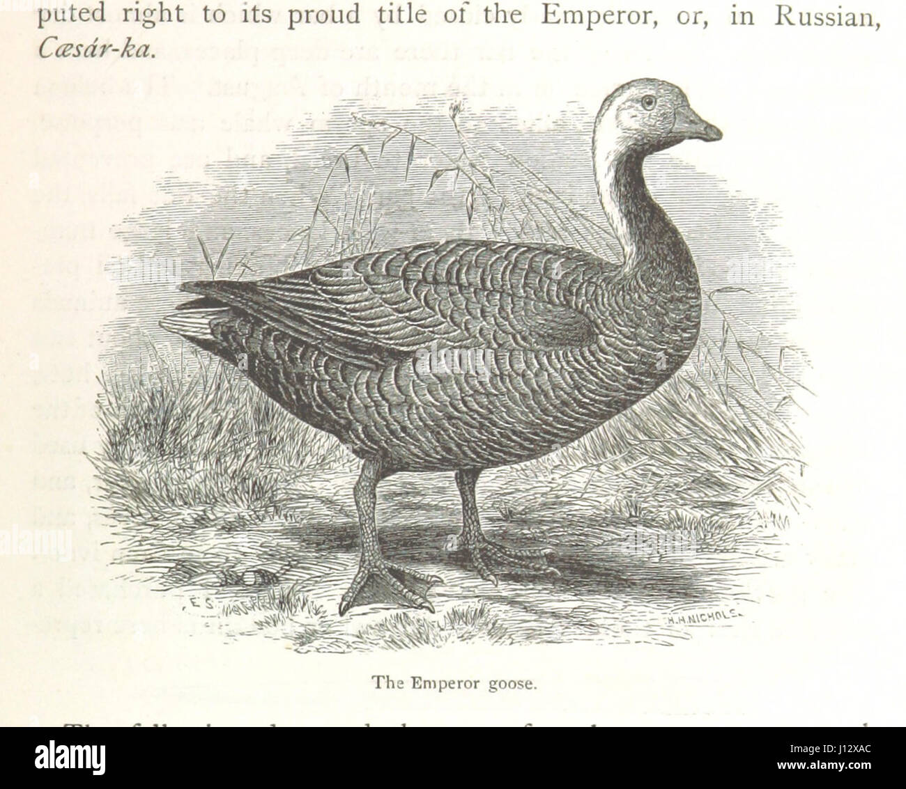 [Alaska and its Resources. [With a map.]] Stock Photo - Alamy