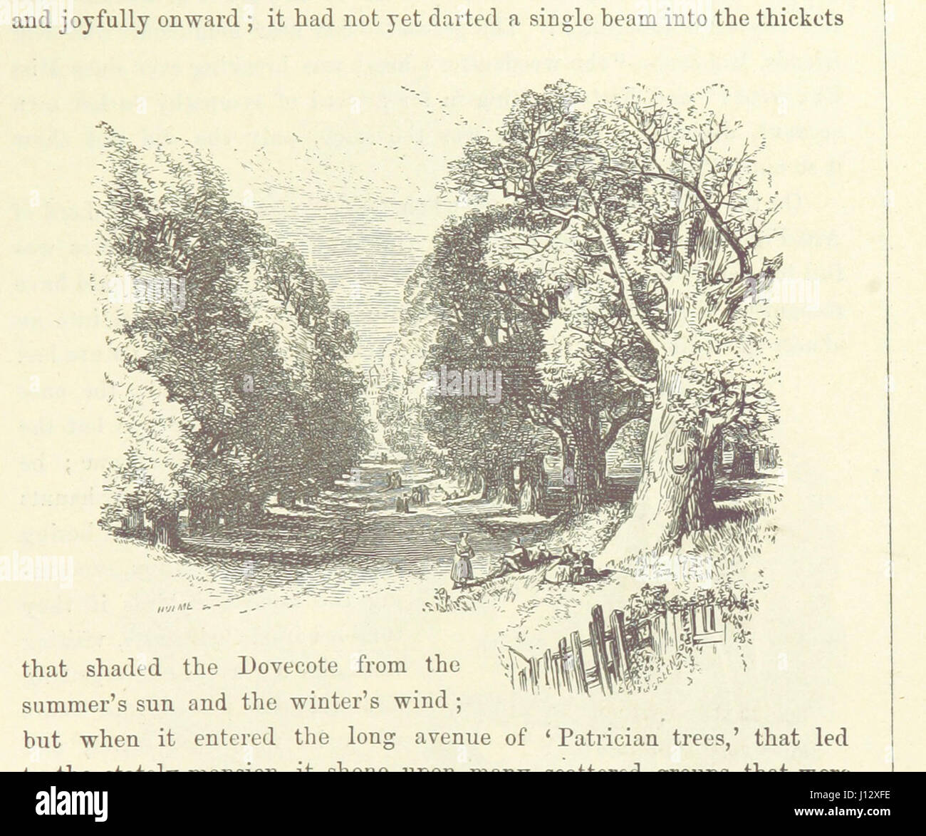 [Midsummer Eve: a fairy tale of love.] Stock Photo - Alamy