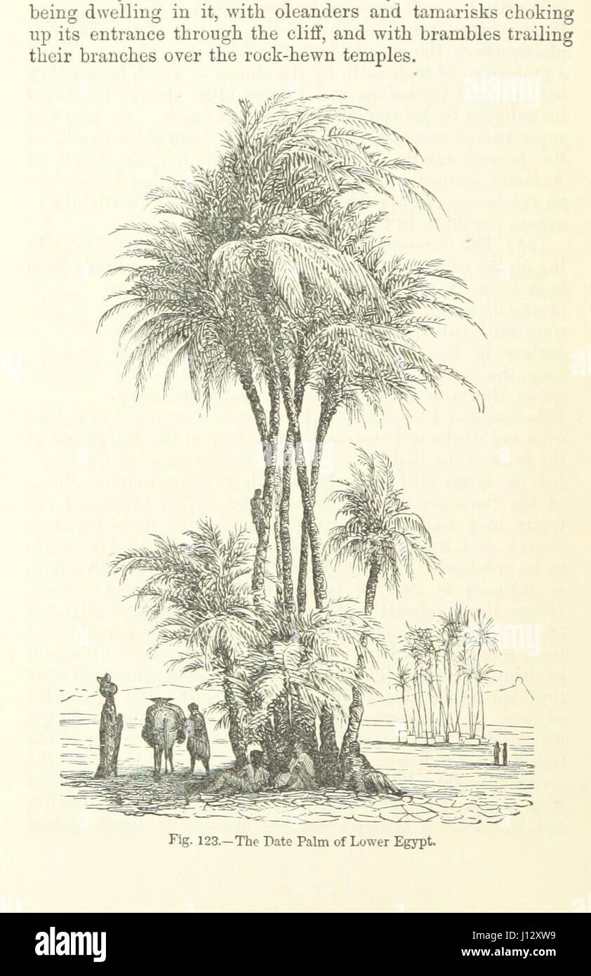 [The History of Egypt from the earliest times till the conquest by the ...