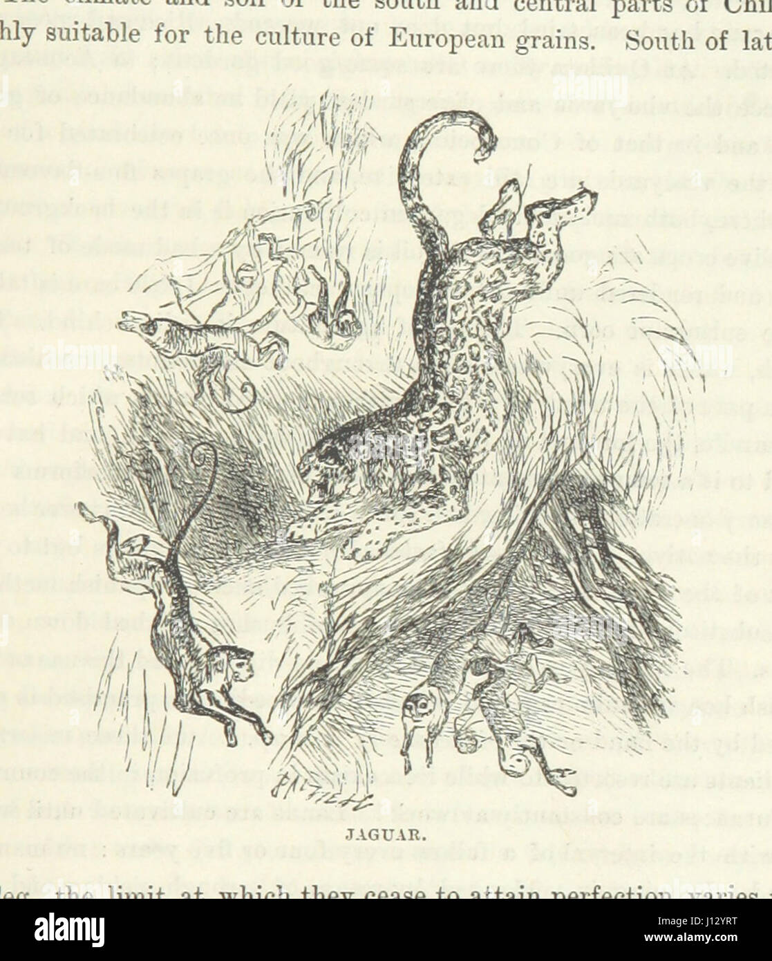 The Golden Americas. A story of great discoveries and daring deeds ...