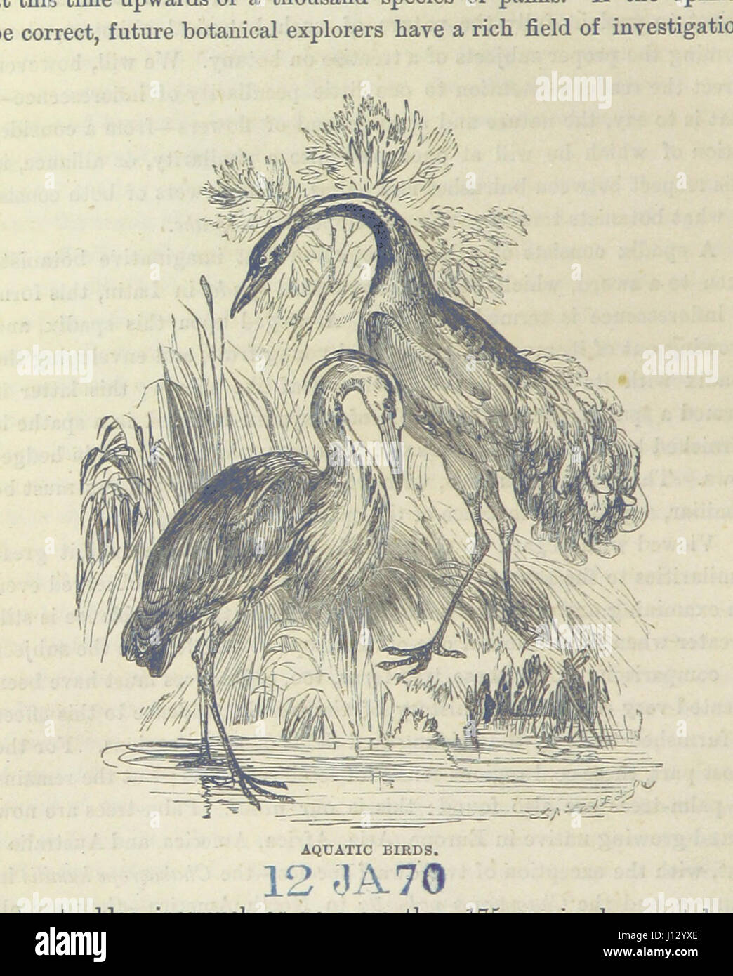 The Golden Americas. A story of great discoveries and daring deeds ...