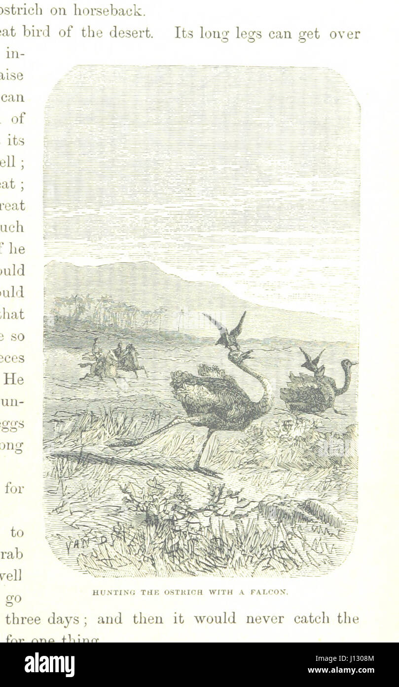 The World at Home; or, pictures and scenes from far off lands Stock ...