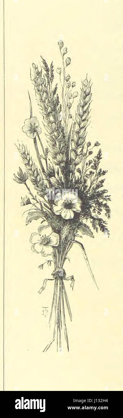 The Illustrated Book of Sacred Poems. Edited by ... R. H. Baynes ...