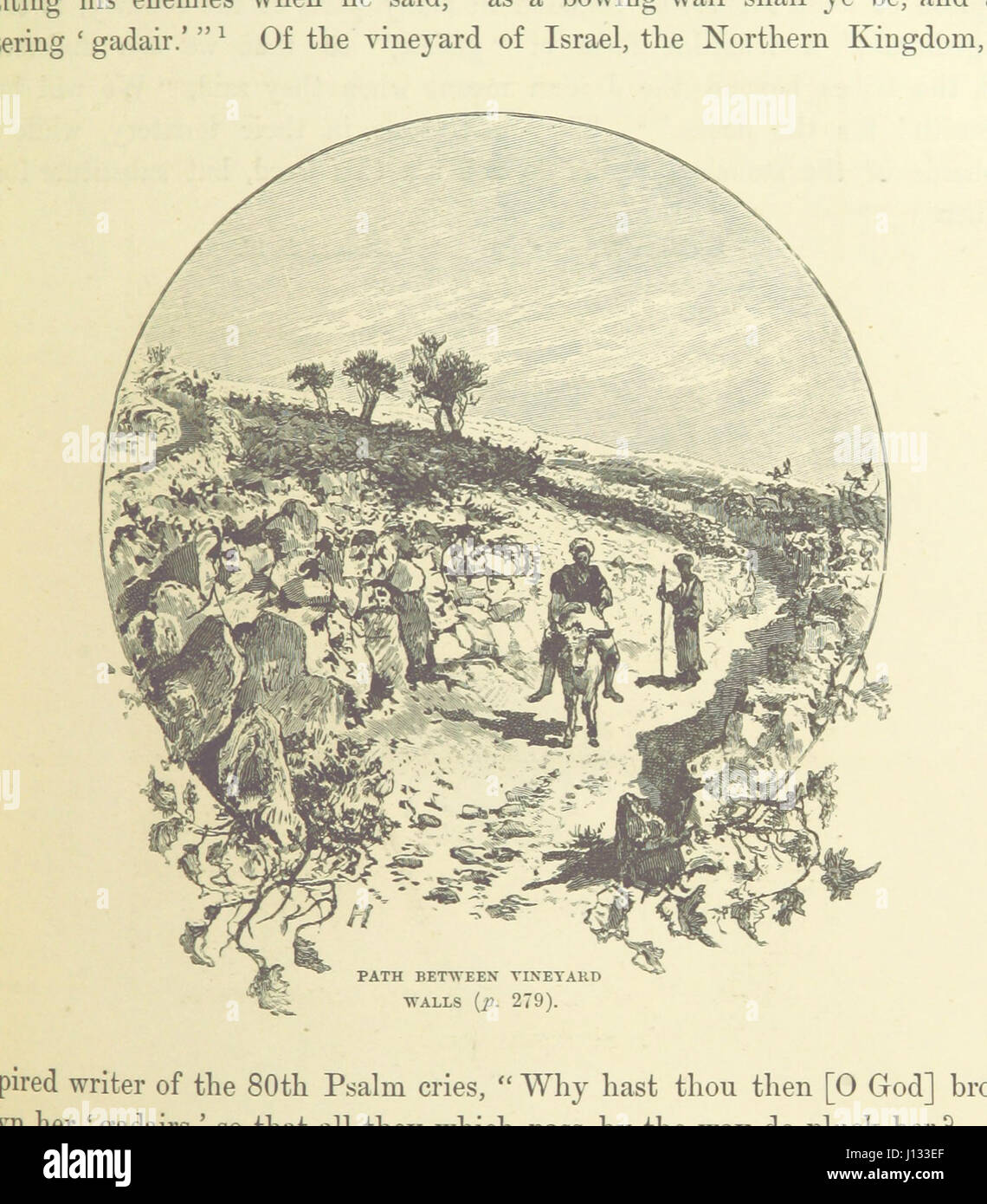 [The Holy Land and the Bible. A book of Scripture illustrations ...