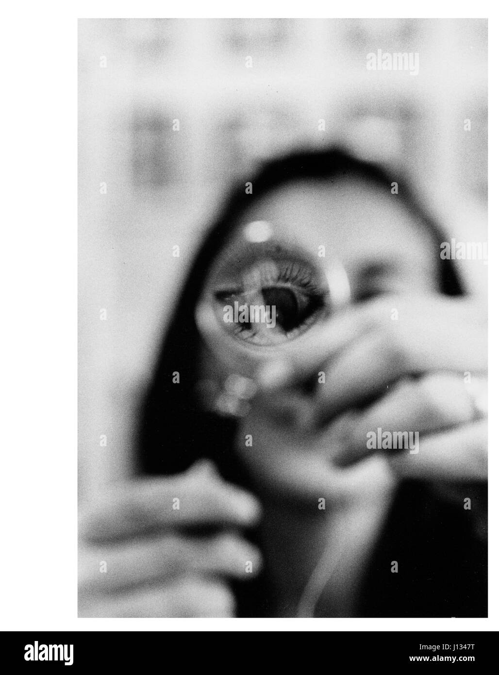 Developing seed Black and White Stock Photos & Images - Alamy