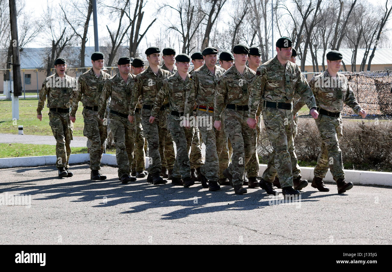 Nato field parade hi-res stock photography and images - Alamy