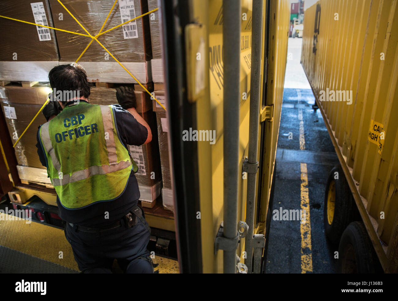 U.S. Customs and Border Protection agriculture specialists inspect ...