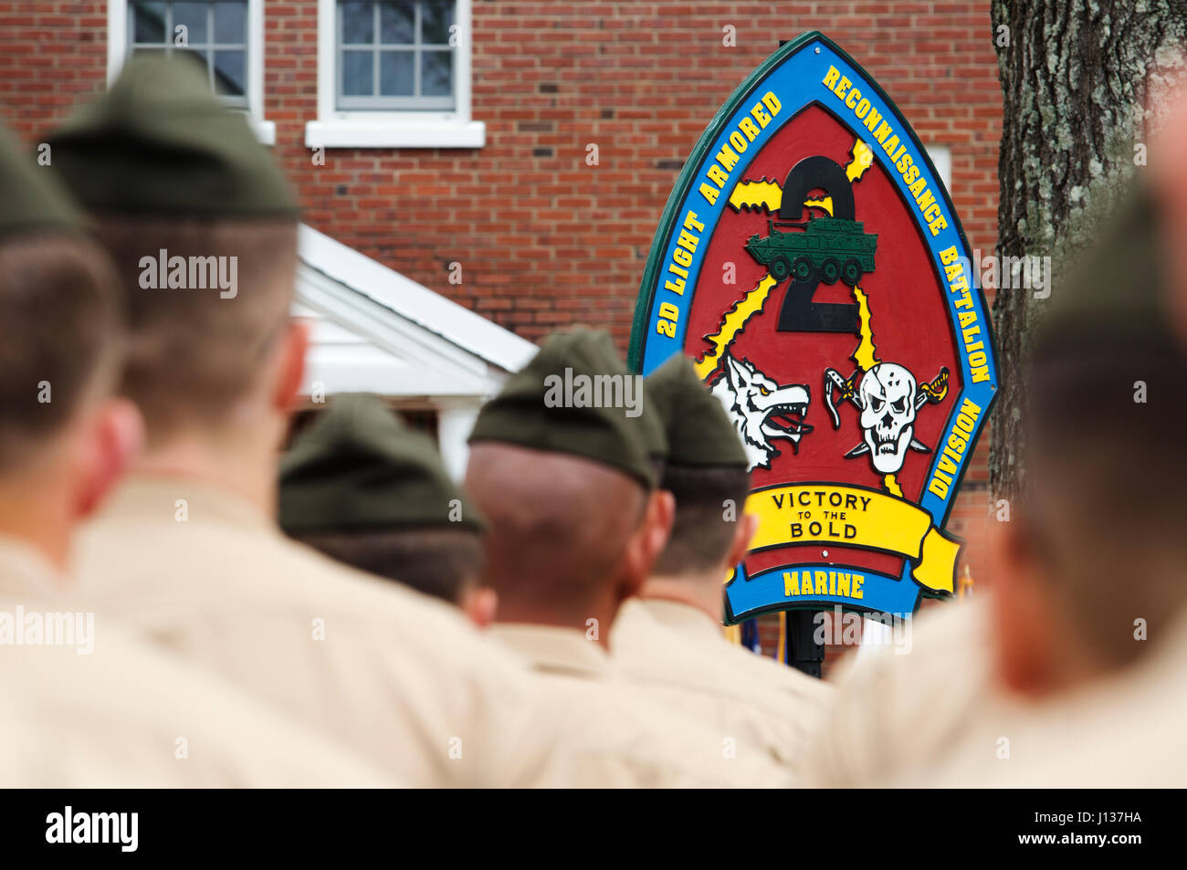 Marines and sailors from 2nd Light Armored Reconnaissance Battalion ...