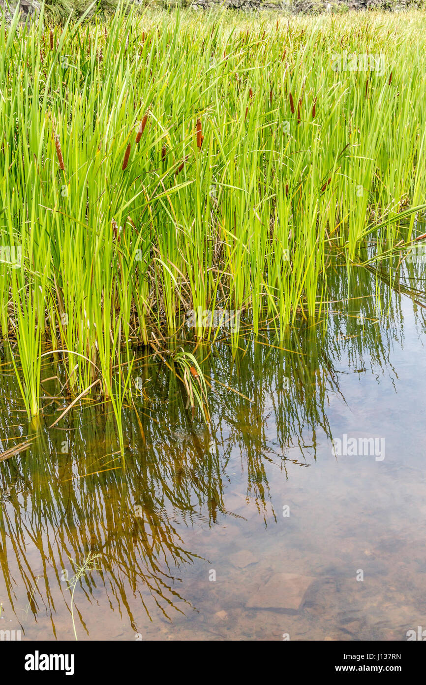 Morro gaucho hi-res stock photography and images - Alamy