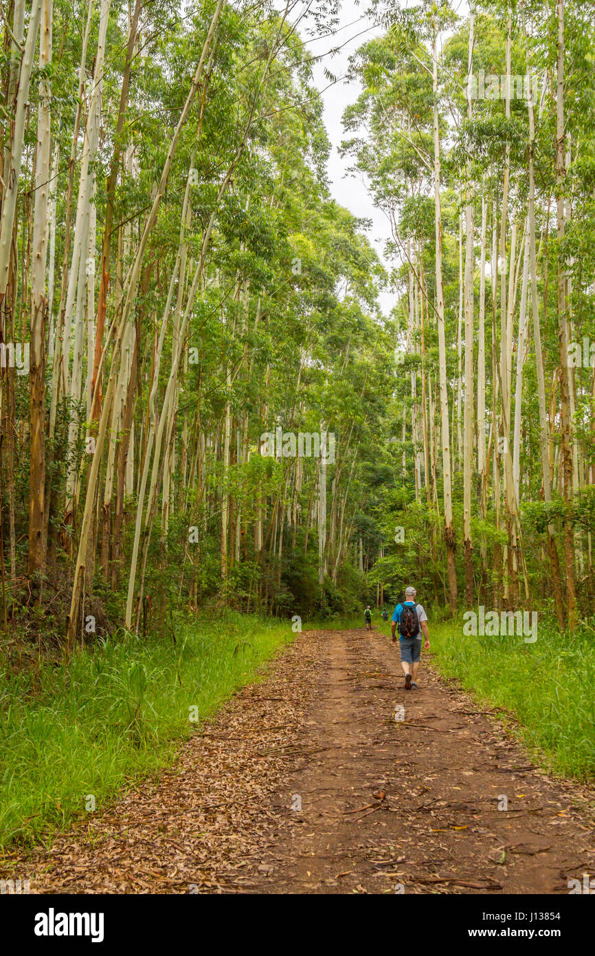 Morro gaucho hi-res stock photography and images - Alamy