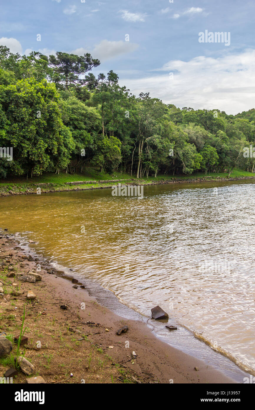 Trees in Garibaldi lake in Encantado, Rio Grande do Sul, Brazil Stock ...