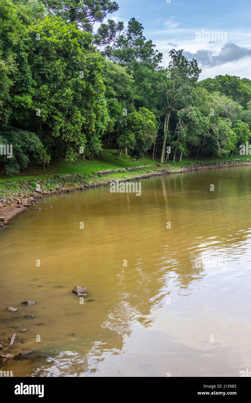 Trees in Garibaldi lake in Encantado, Rio Grande do Sul, Brazil Stock ...