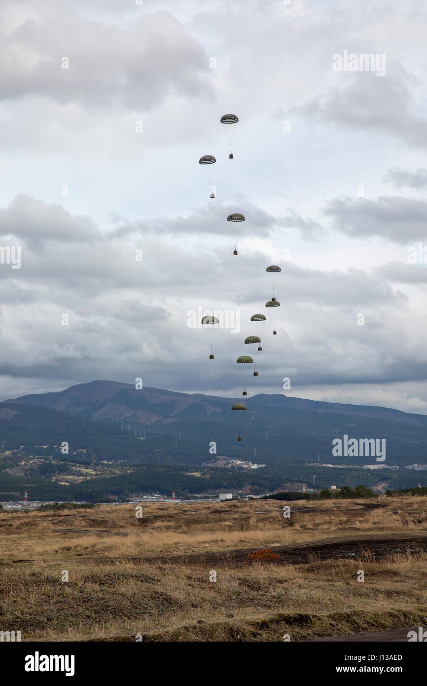 Containerized Delivery System bundles drop on a drop zone at Combined ...