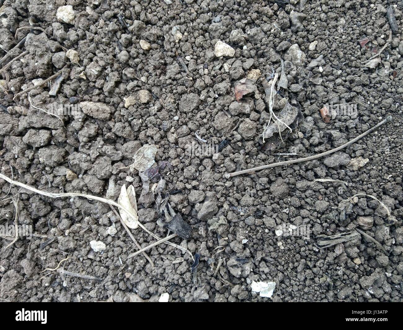 Texture of earth Stock Photo - Alamy