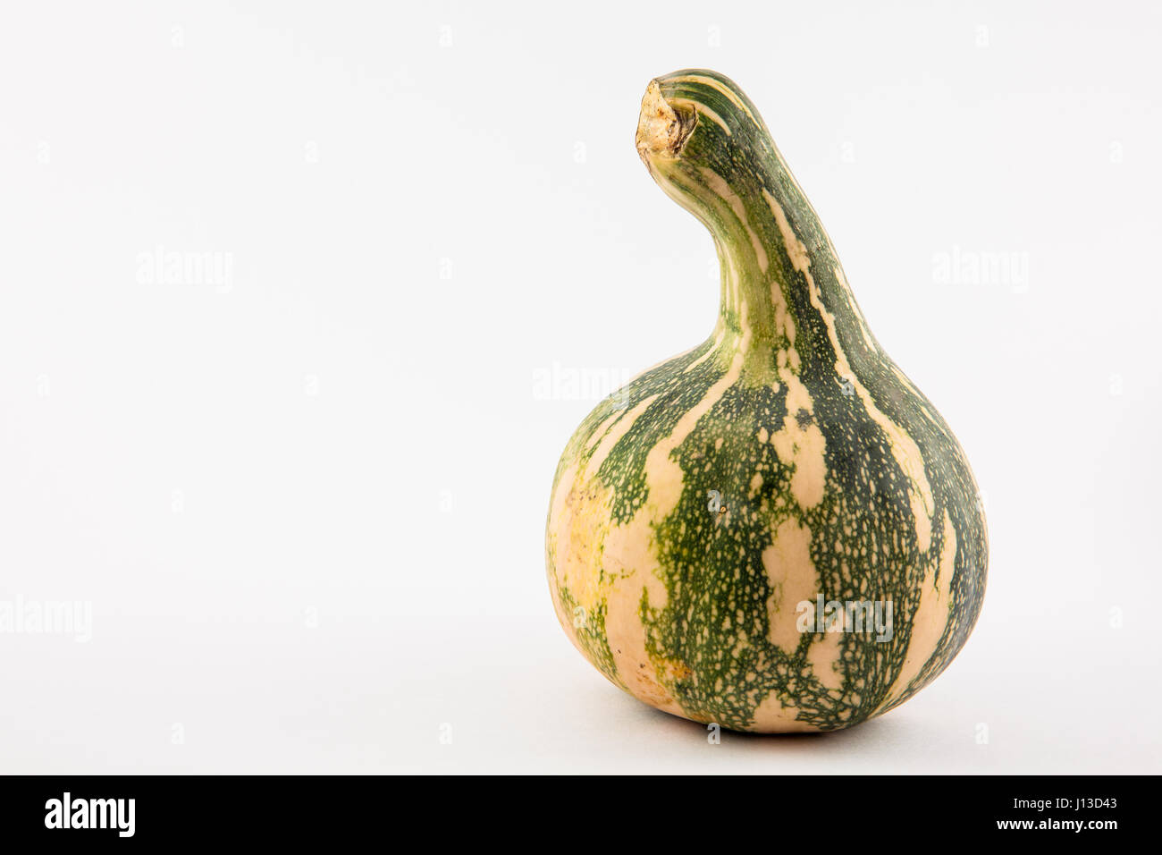 Pumpkin (Cucurbita maxima) isolated in white background Stock Photo - Alamy