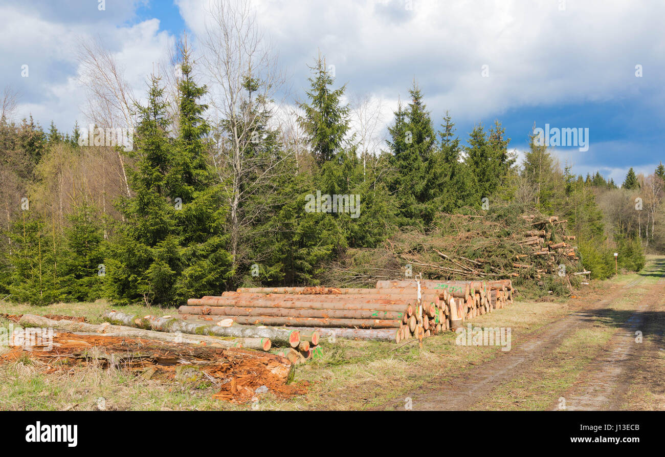tree logs piled up near the road Stock Photo - Alamy