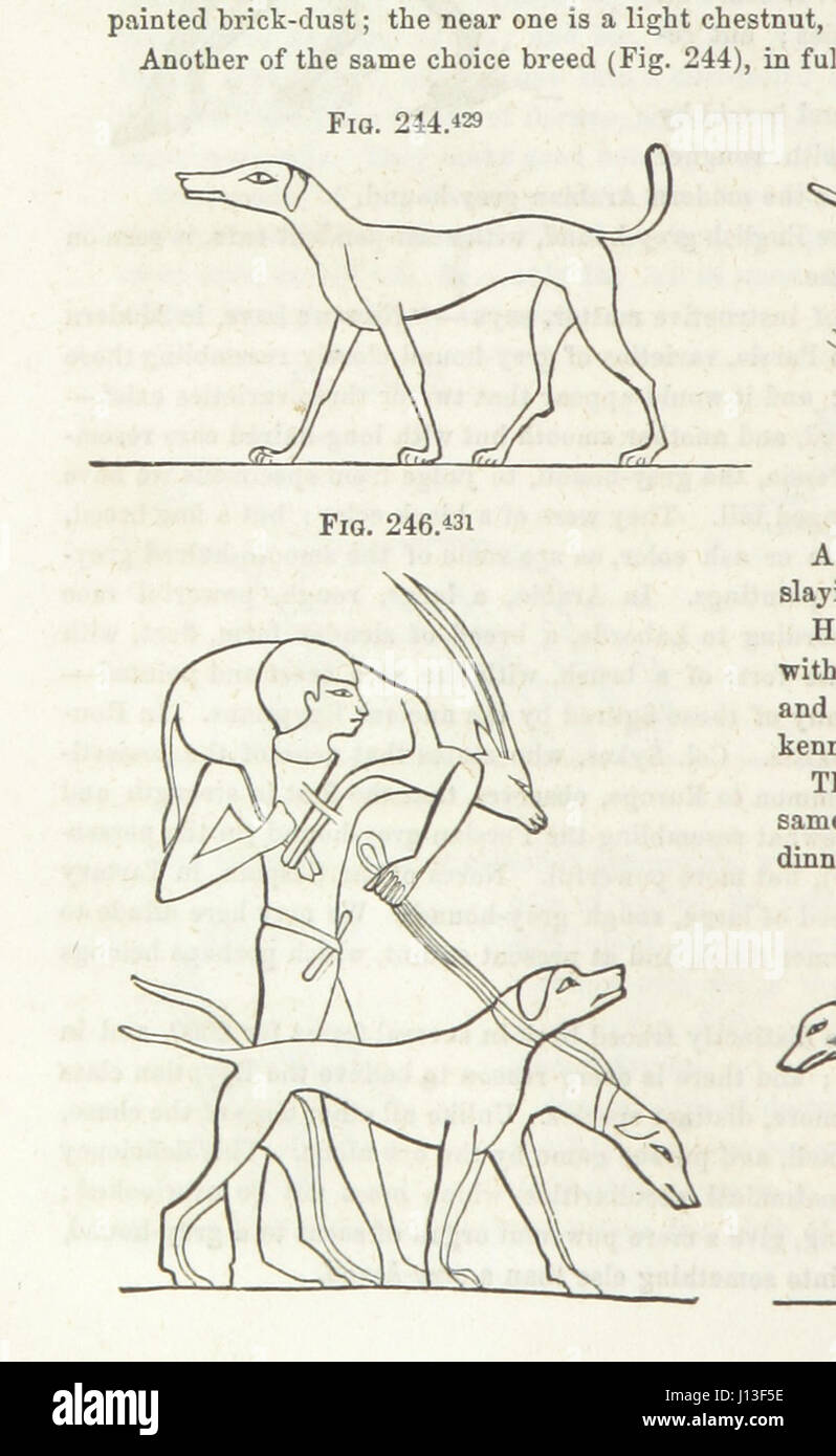 [Types of Mankind: or Ethnological Researches ... illustrated by ...