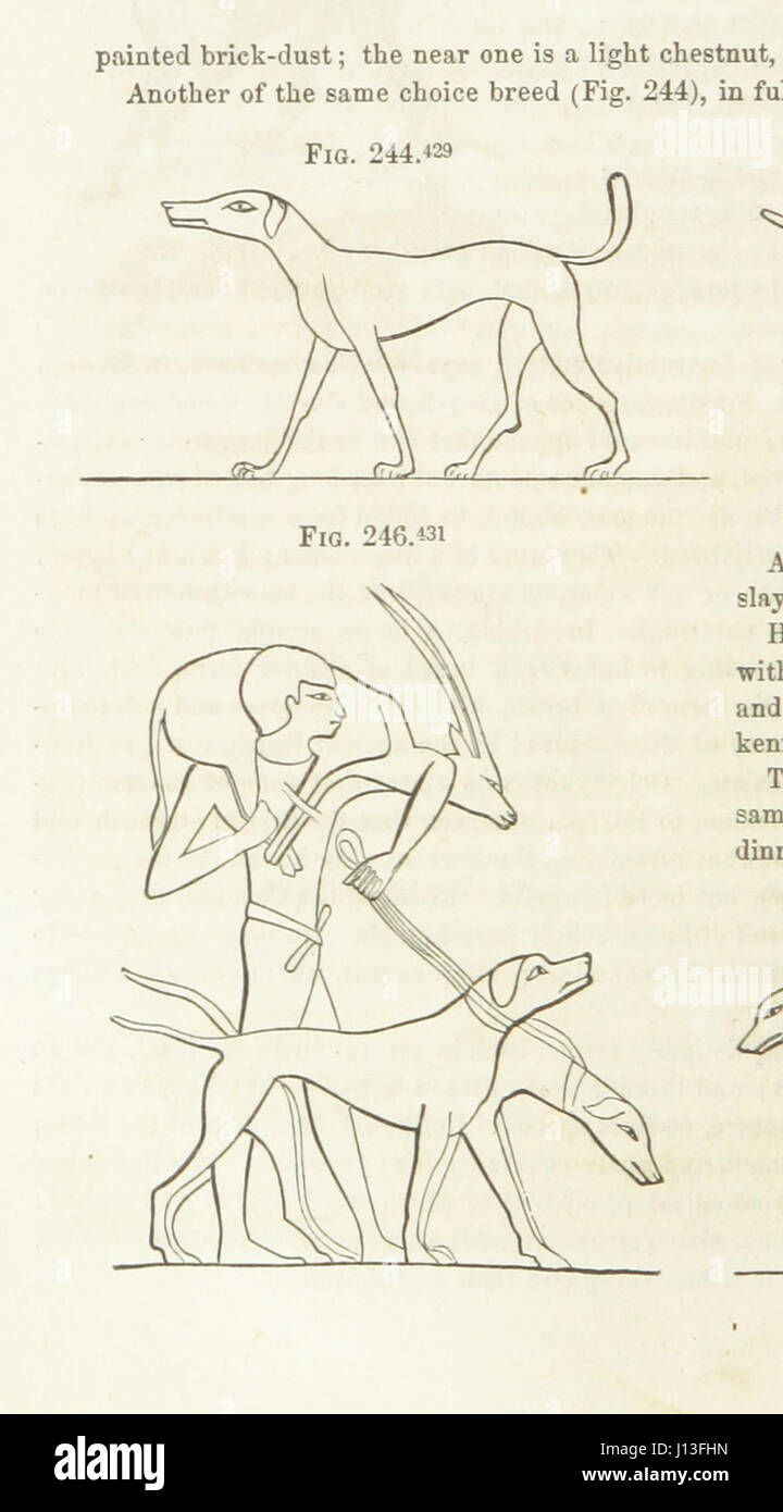 Types of Mankind: or Ethnological Researches ... illustrated by ...
