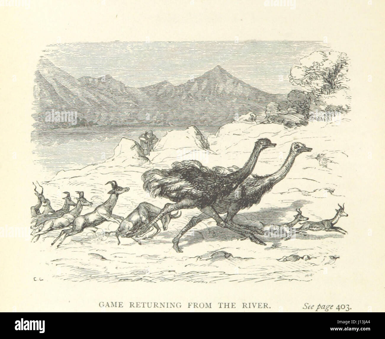 The Nile Tributaries of Abyssinia, and the Sword Hunters of the Hamran ...