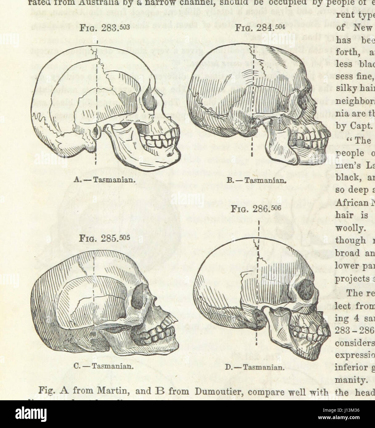 [Types of Mankind: or Ethnological Researches ... illustrated by ...