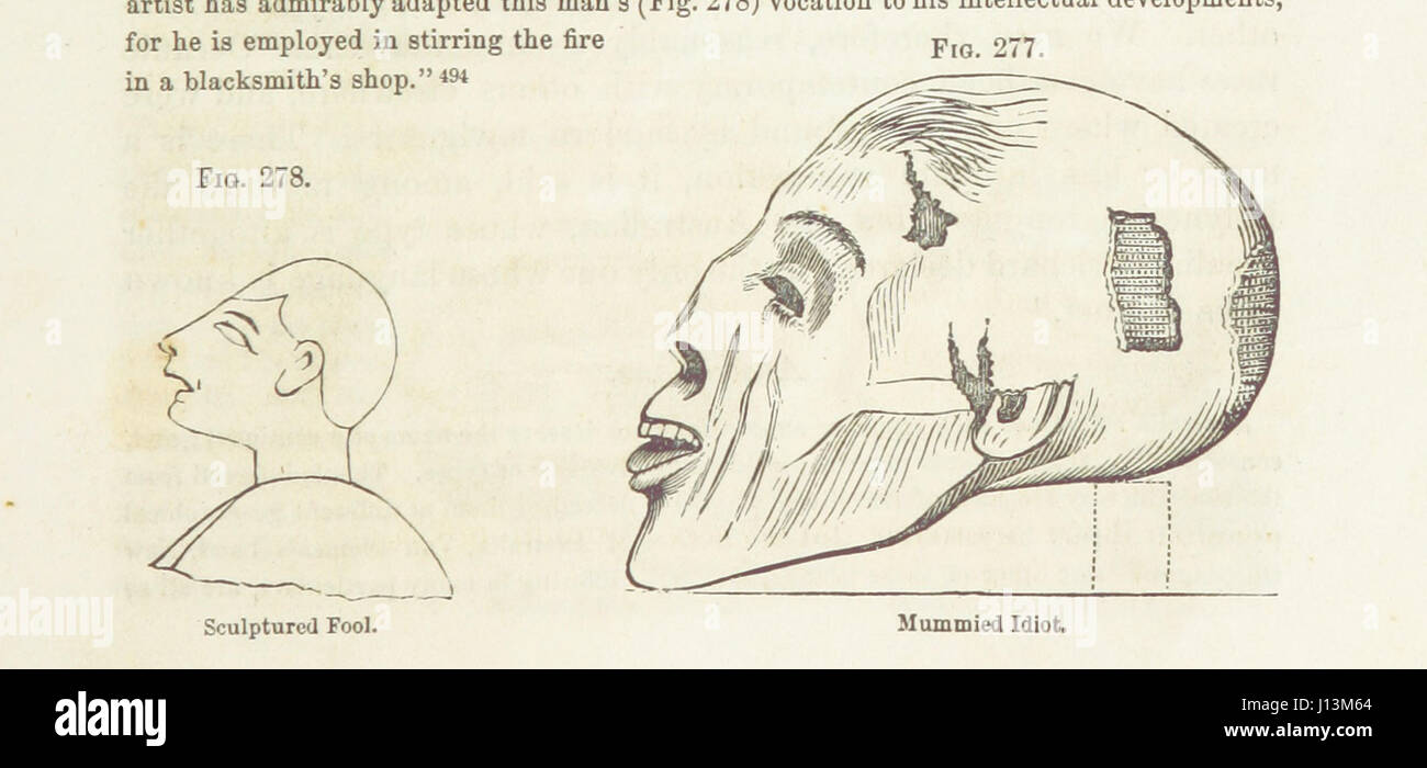 Types of Mankind: or Ethnological Researches ... illustrated by ...