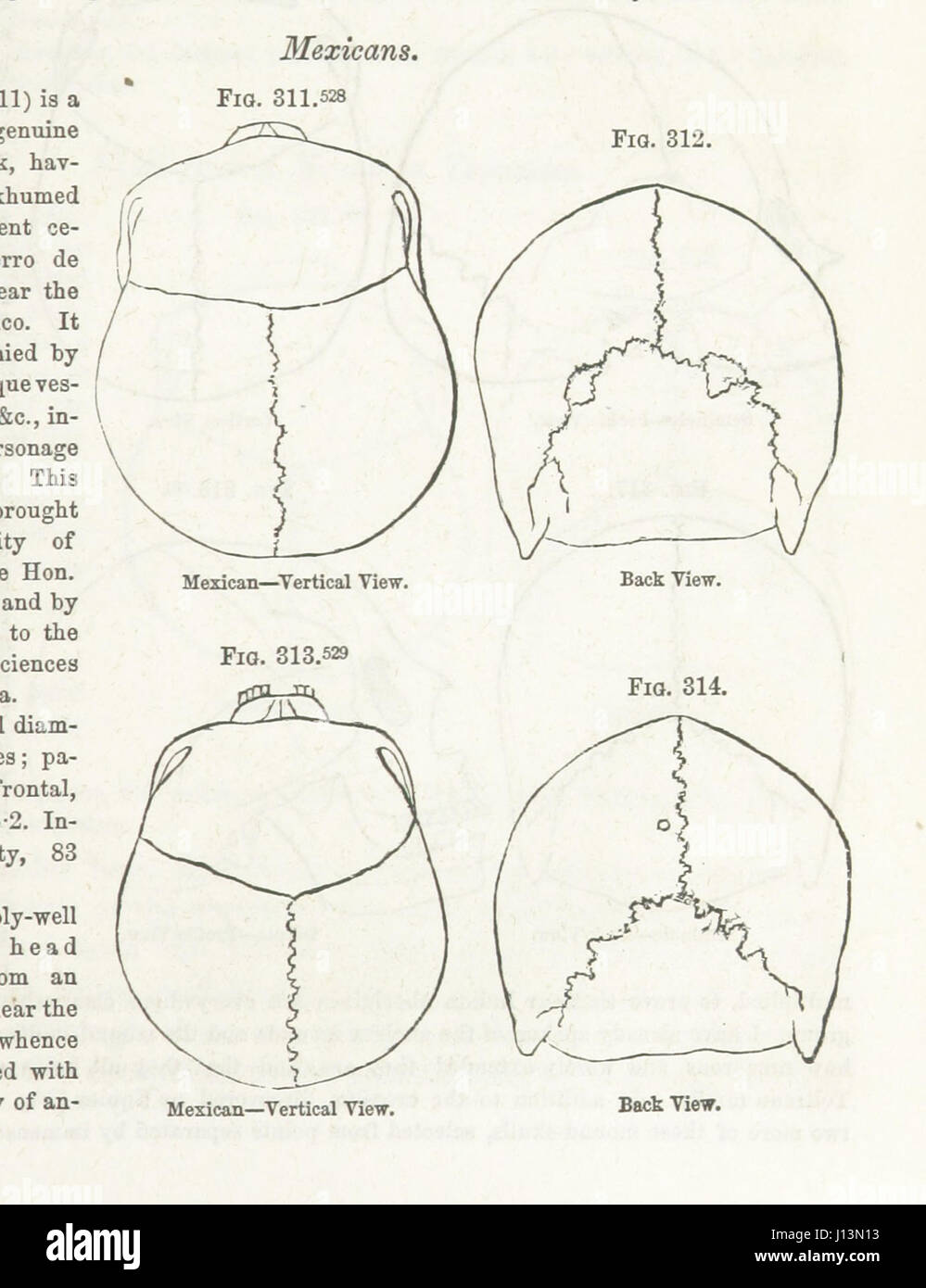 [Types of Mankind: or Ethnological Researches ... illustrated by ...