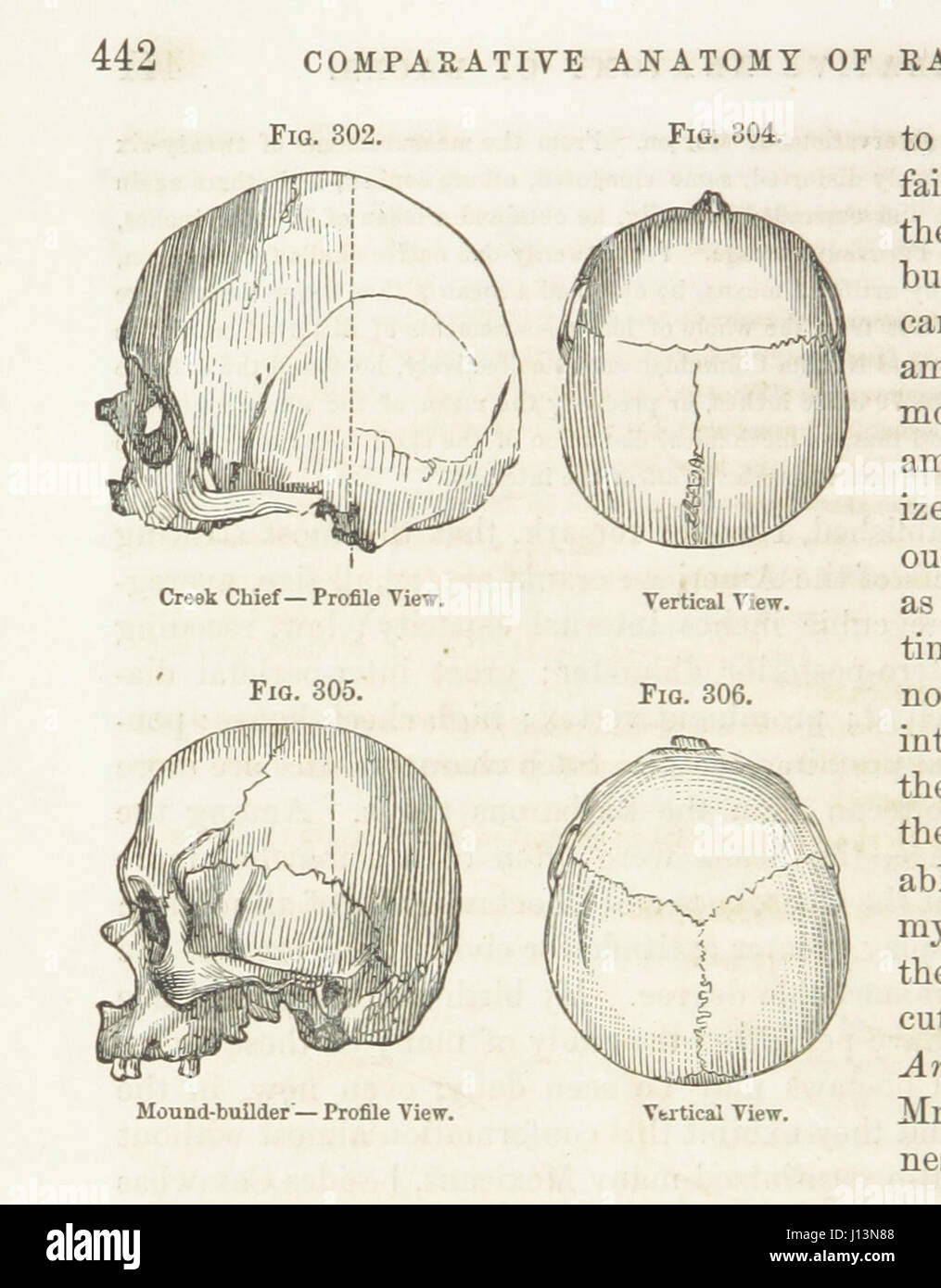Types of Mankind: or Ethnological Researches ... illustrated by ...