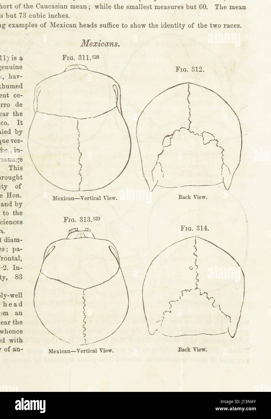 Types of Mankind: or Ethnological Researches ... illustrated by ...