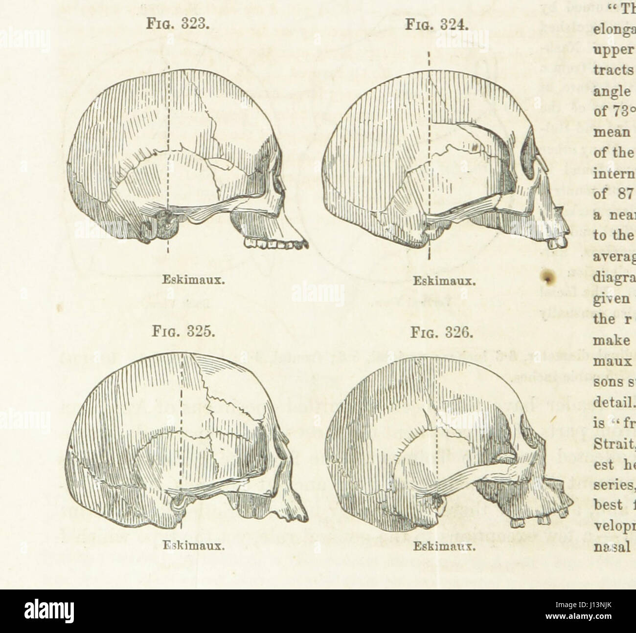 Nott gliddon hi-res stock photography and images - Alamy