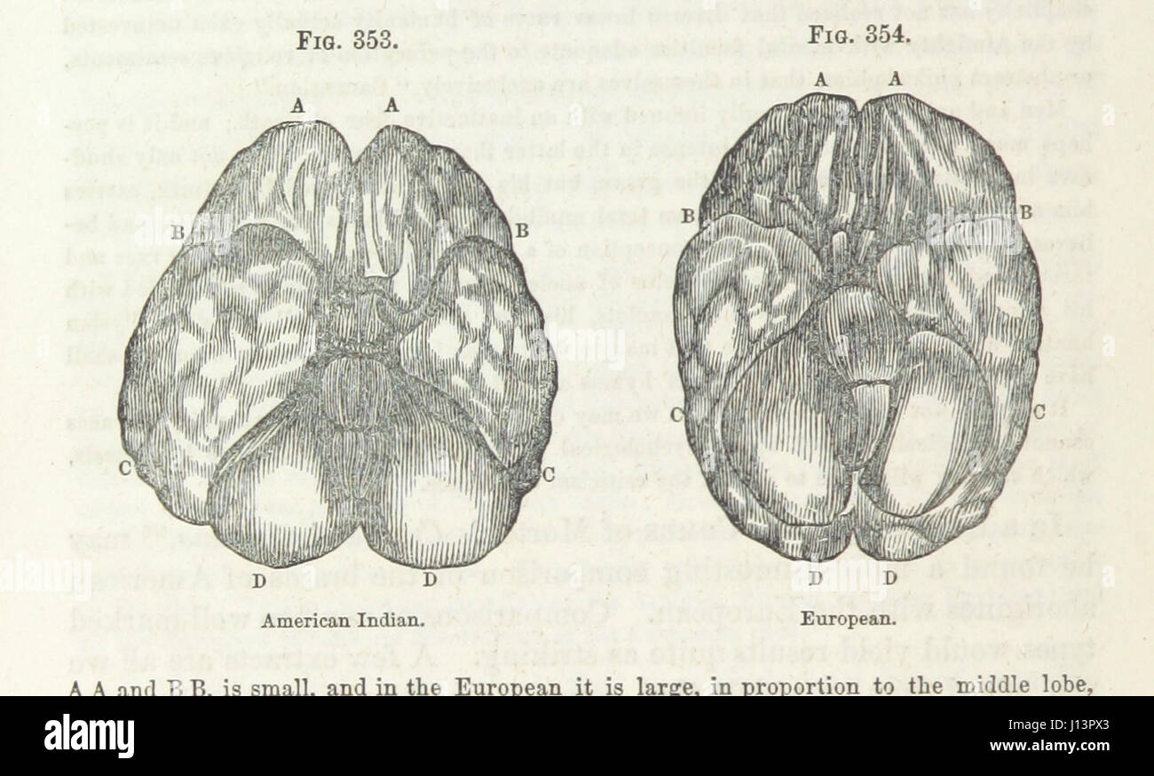 [Types of Mankind: or Ethnological Researches ... illustrated by ...