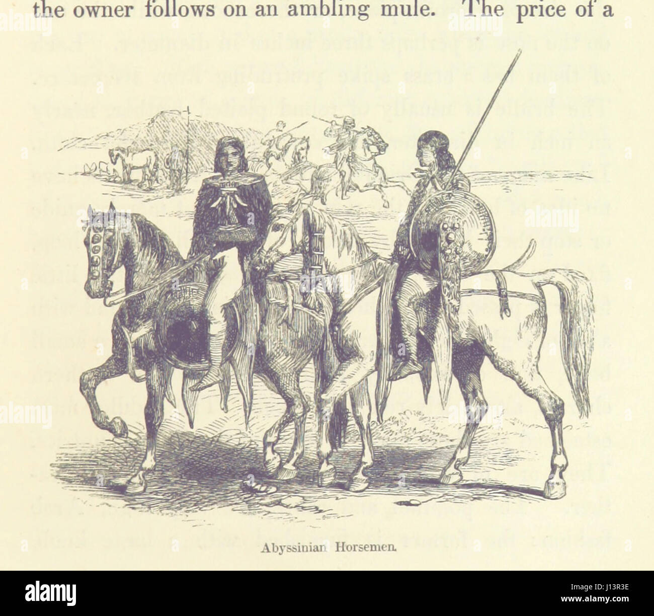 Life in Abyssinia: being notes collected during three years' residence ...