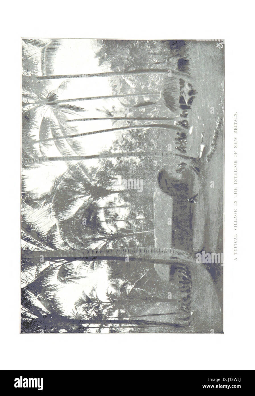 Through New Guinea and the Cannibal Countries ... With illustrations ...