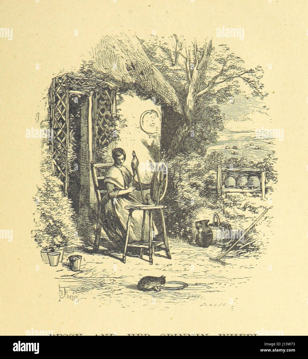 The Illustrated Family Burns, with an original memoir. [With engravings ...