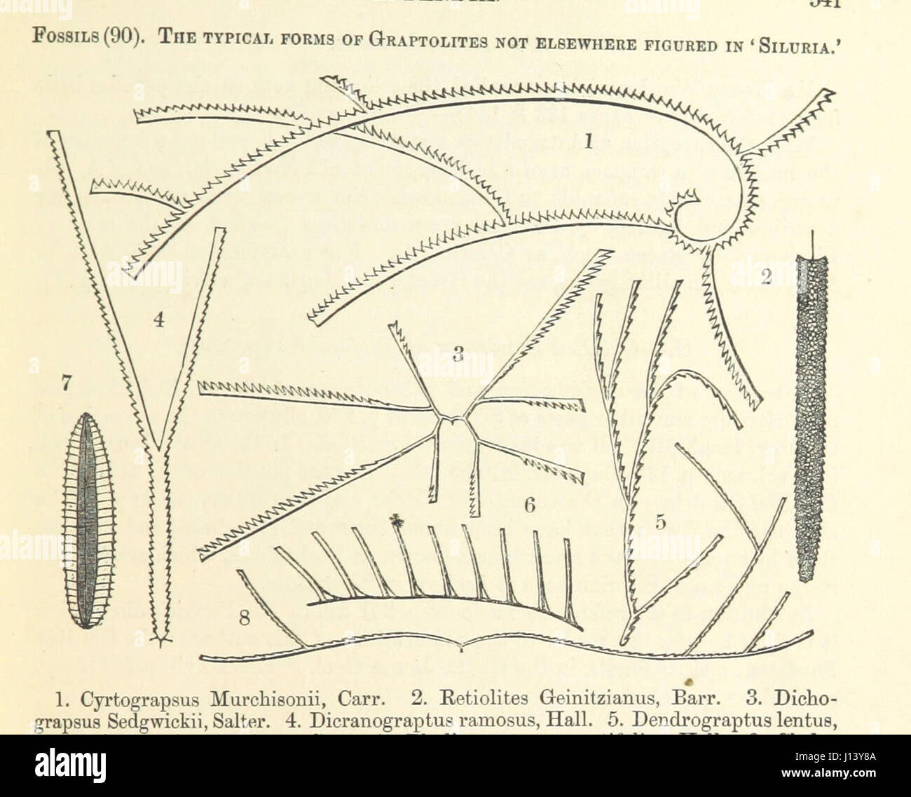 [Siluria. The history of the oldest known rocks containing organic ...