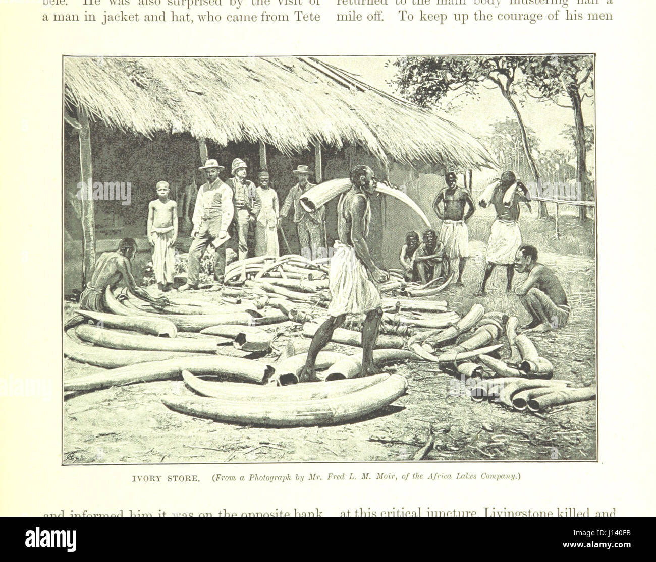 'The Story of Africa and its Explorers' offers an in-depth look at the ...