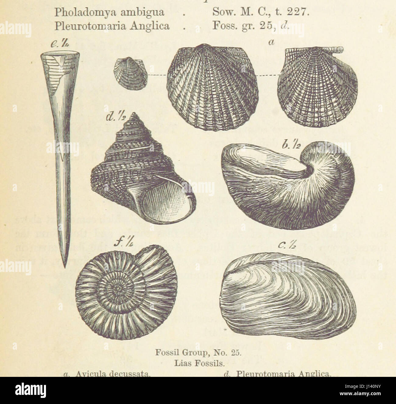 This manual serves as a comprehensive guide for students studying ...