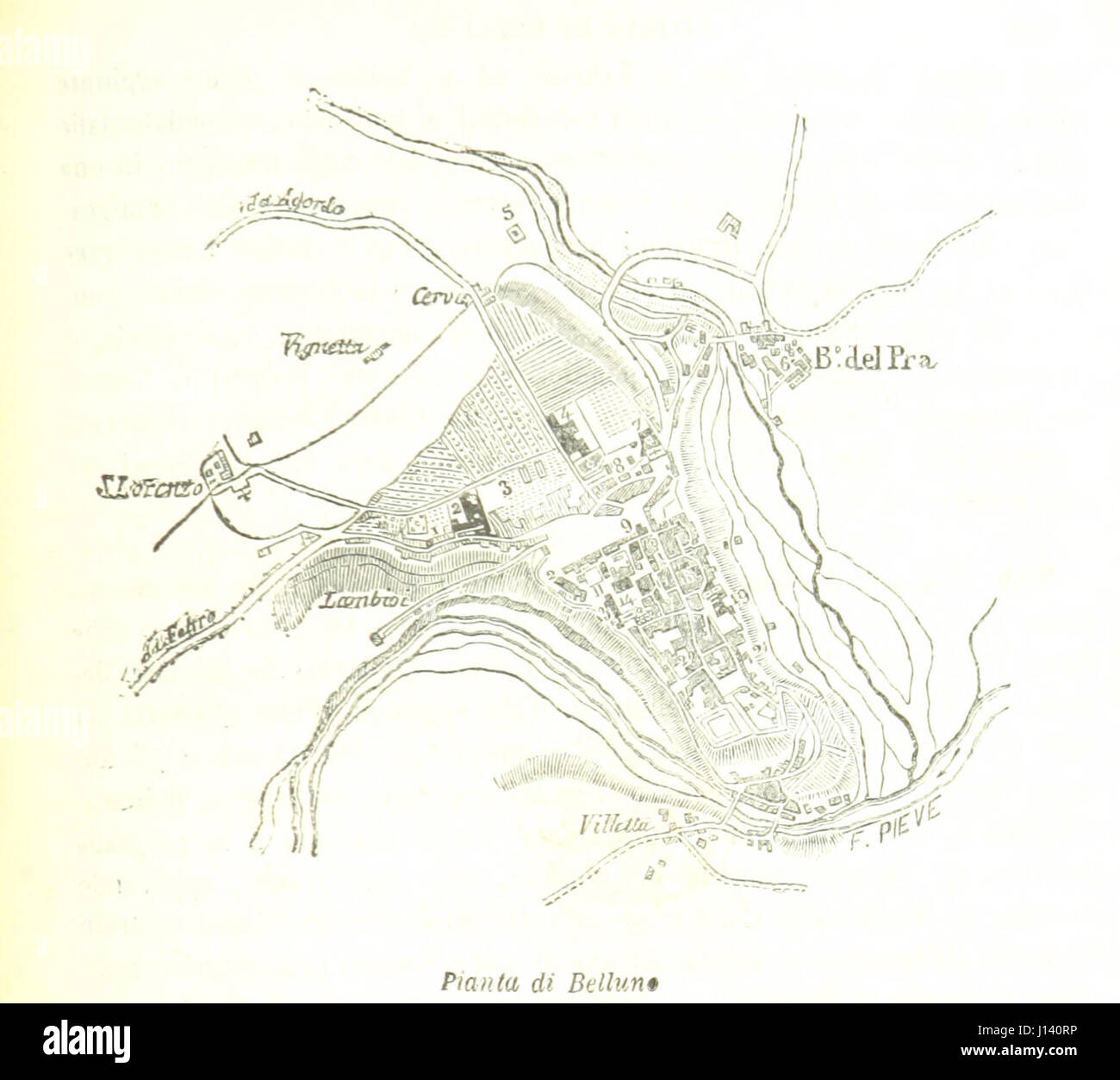 This illustrated work provides a detailed history of the Lombardo ...