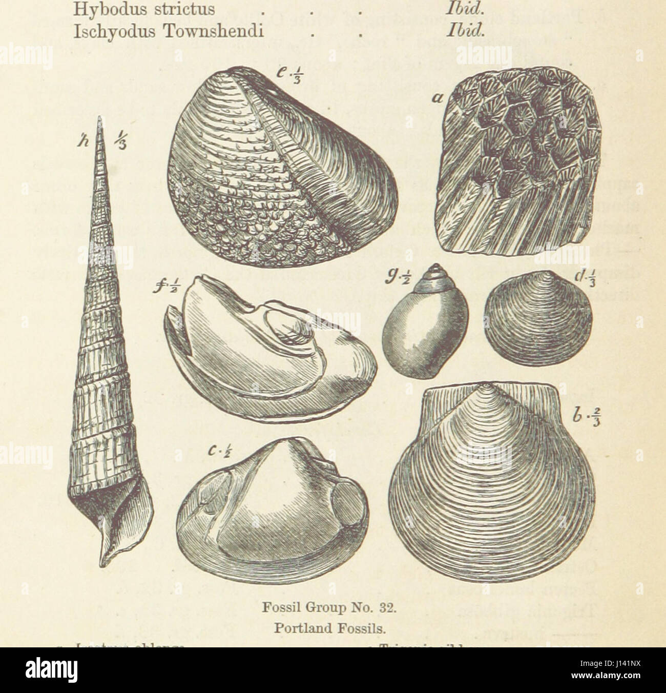 'The Student's Manual of Geology' is a comprehensive guide to the study ...