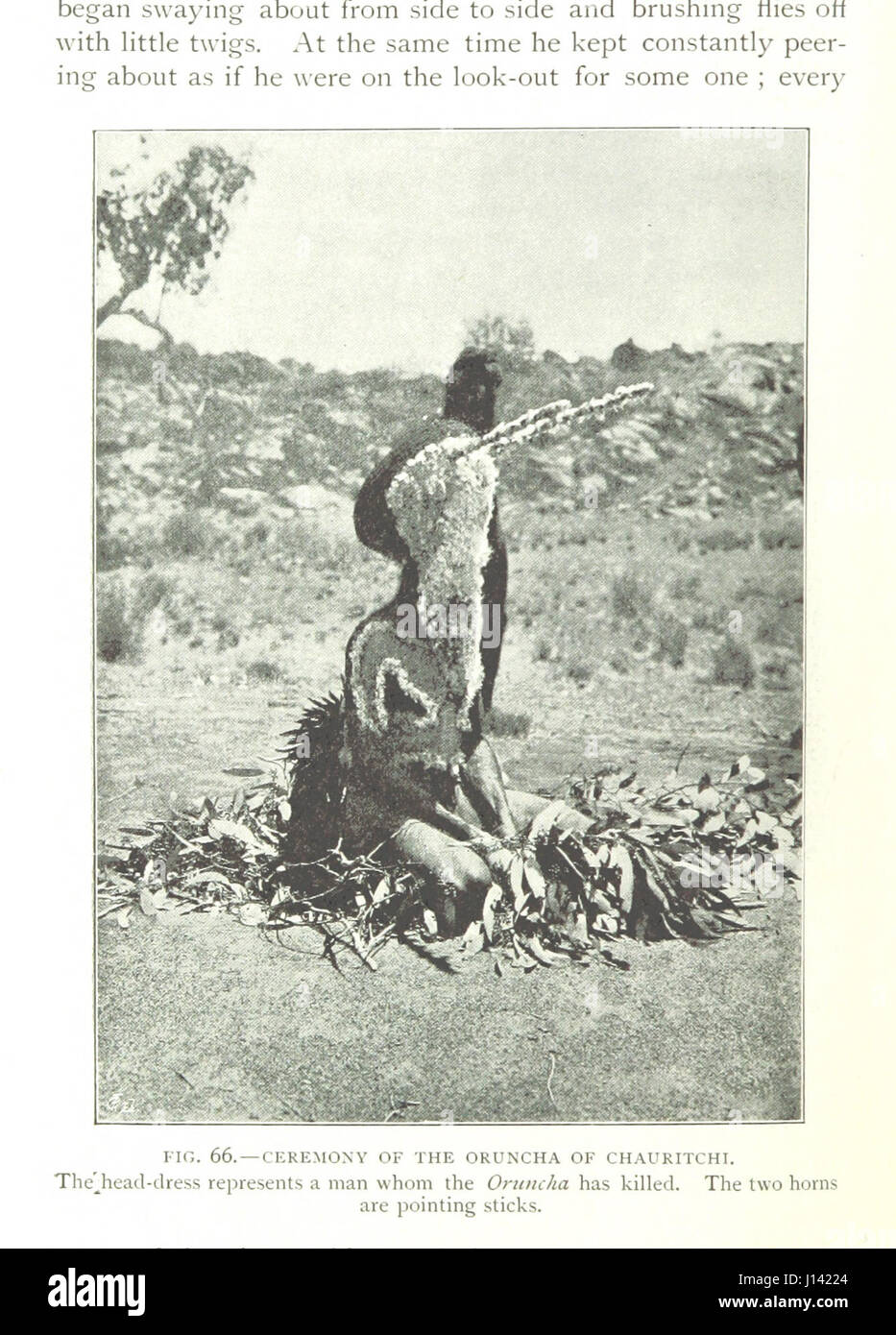 The Native Tribes of Central Australia. [With illustrations.] Stock ...