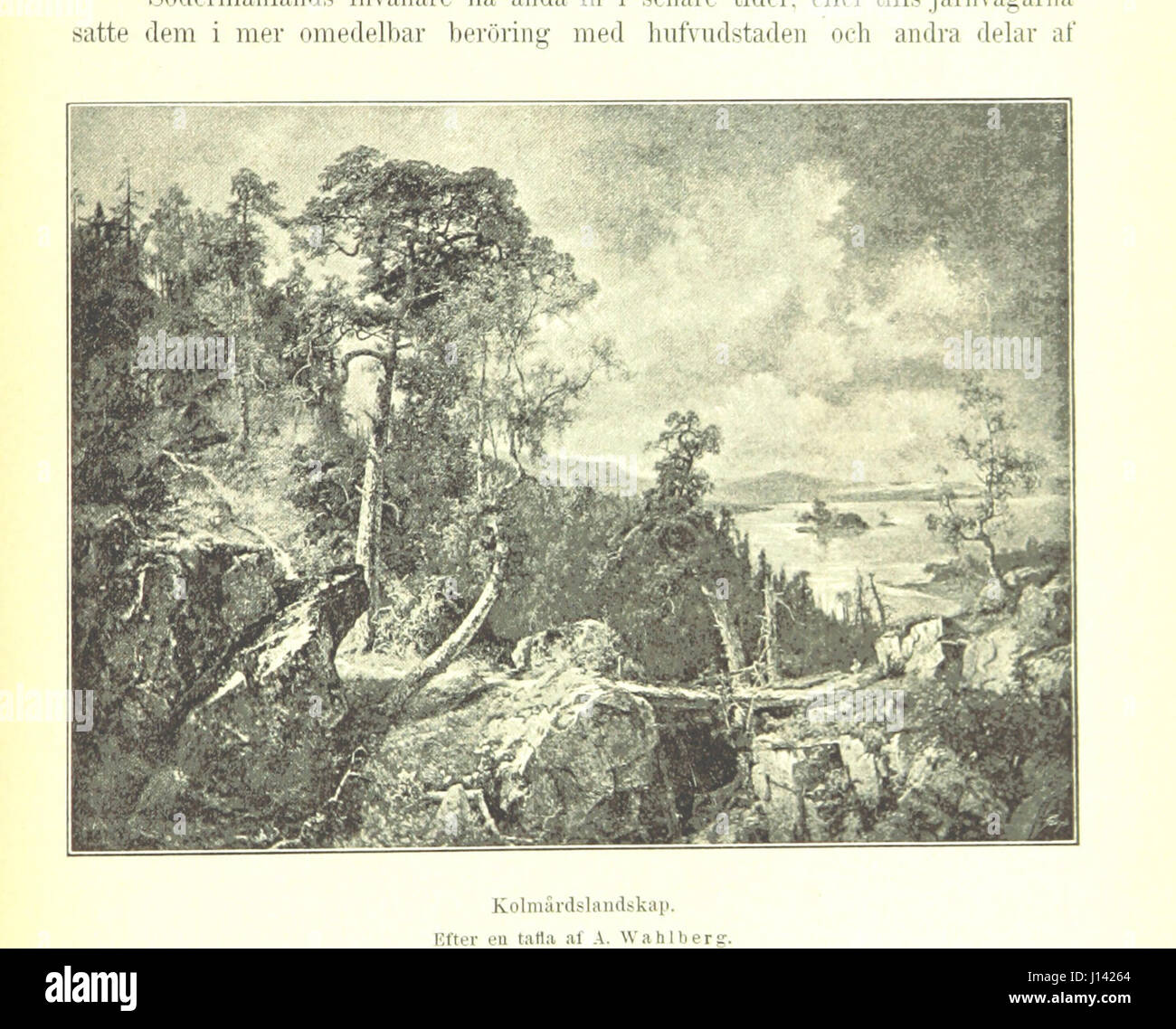 This third edition, edited by J. P. Velander, offers a detailed ...