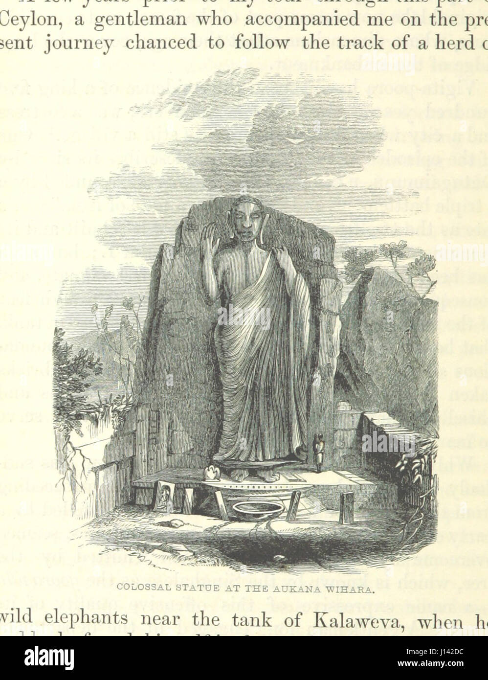 An in-depth exploration of the island of Ceylon (Sri Lanka), covering ...