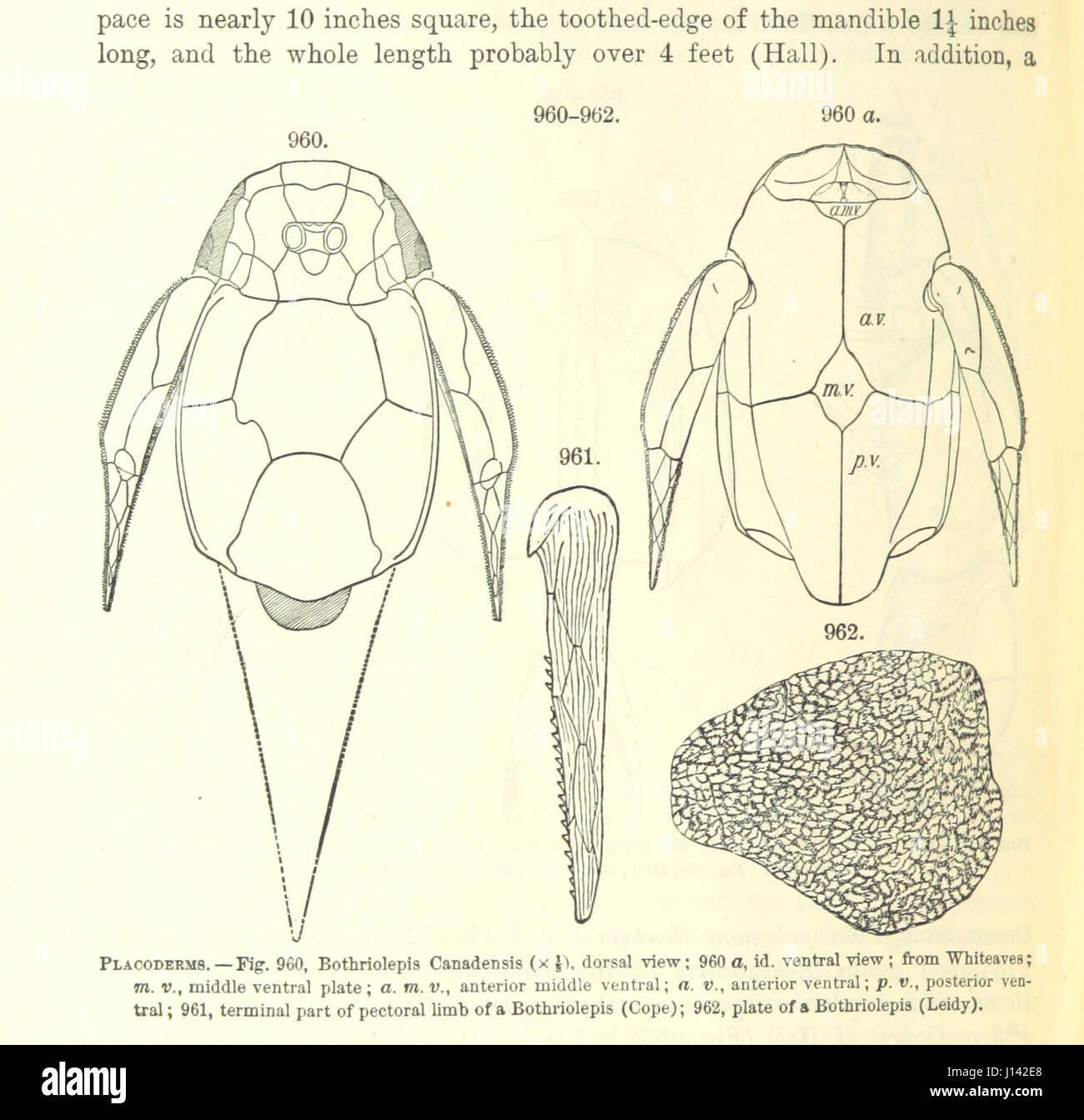 This revised edition of a manual of geology covers the principles of ...